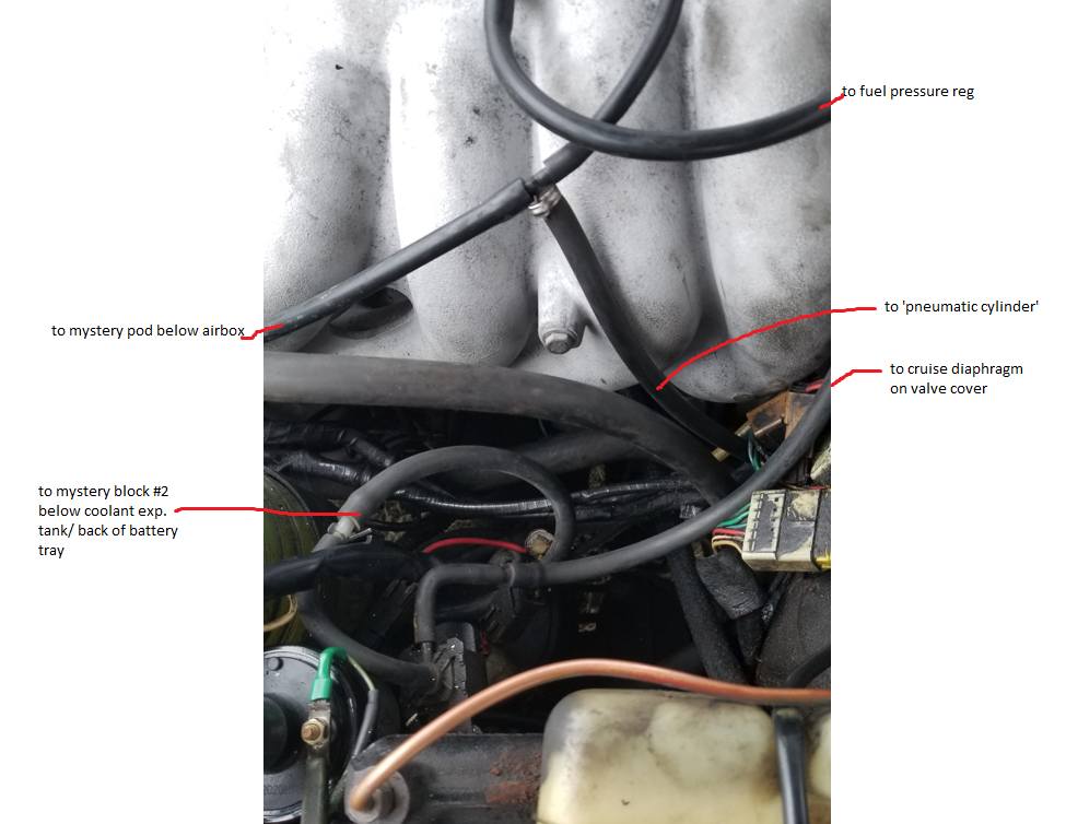 1987 505 Turbo Revival - Member build threads - Peugeot Enthusiasts Group