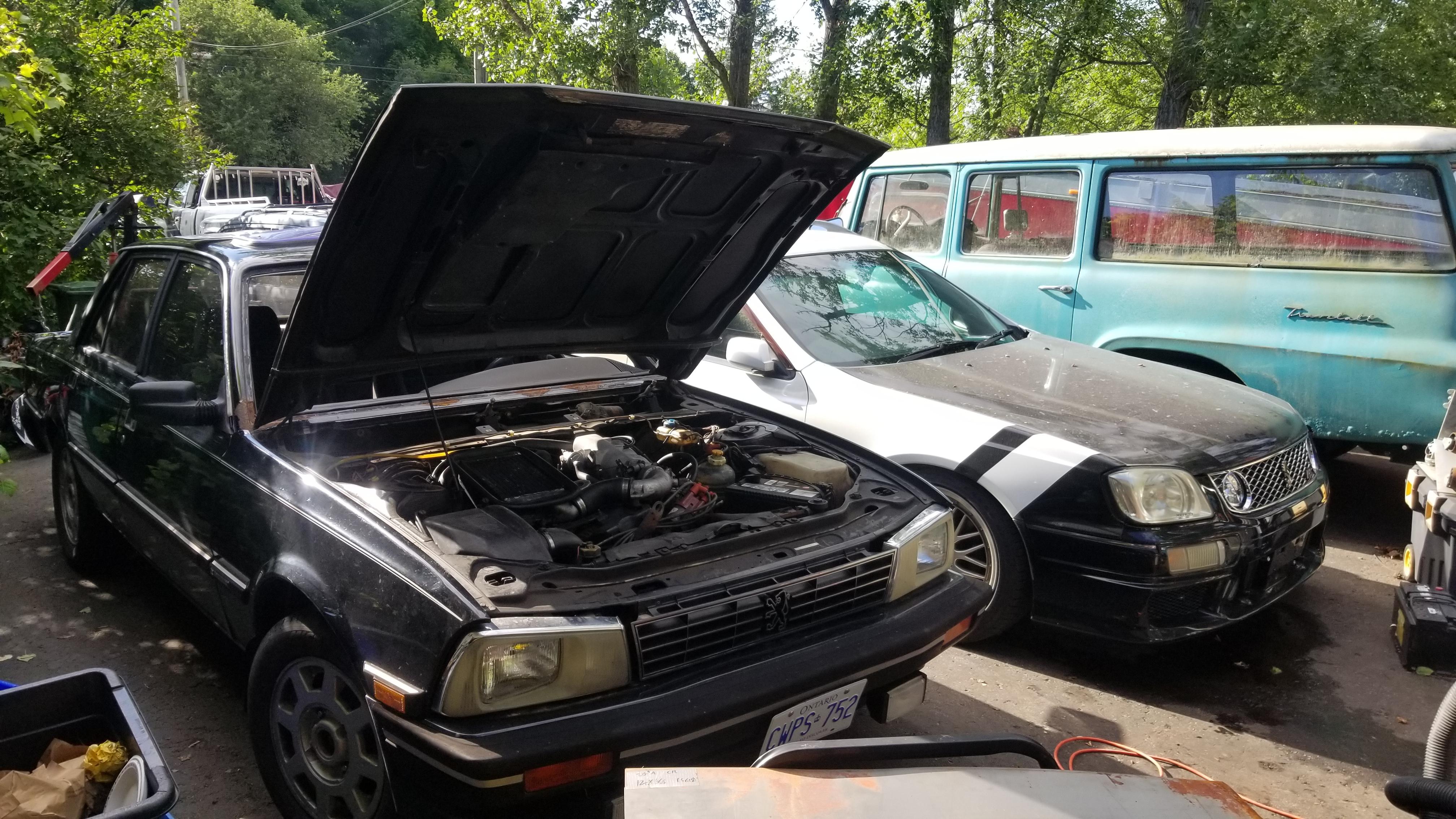 1987 505 Turbo Revival - Member build threads - Peugeot Enthusiasts Group