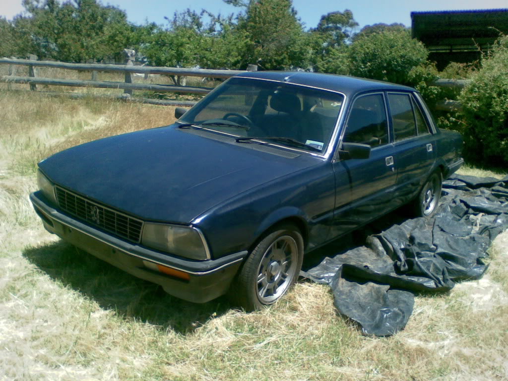 My 505s - Peugeot 50x Series discussion - Peugeot Enthusiasts Group